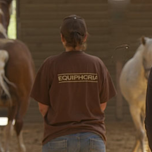 Gallery | Equiphoria