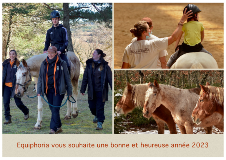 Hippothérapie et réadaptation neurologique - Equiphoria